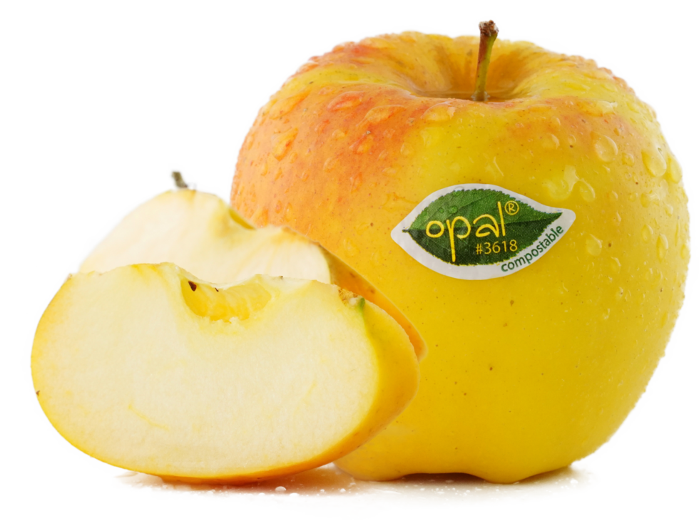 Details – opal apple
